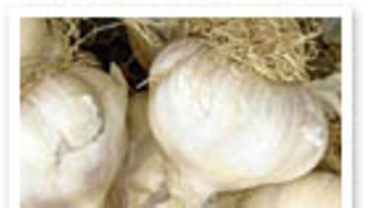 Ihanan inhottava valkosipuli | MTV Uutiset