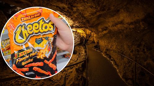 Pudonnut Cheetos-pussi melkein aiheutti luontokatastrofin | MTV Uutiset