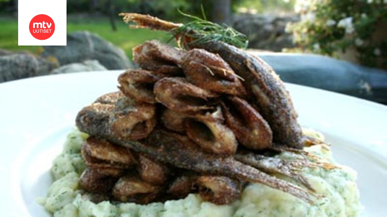 Paistetut silakat, sitruuna-fenkolivoi ja tilli-perunapyree | MTV Uutiset
