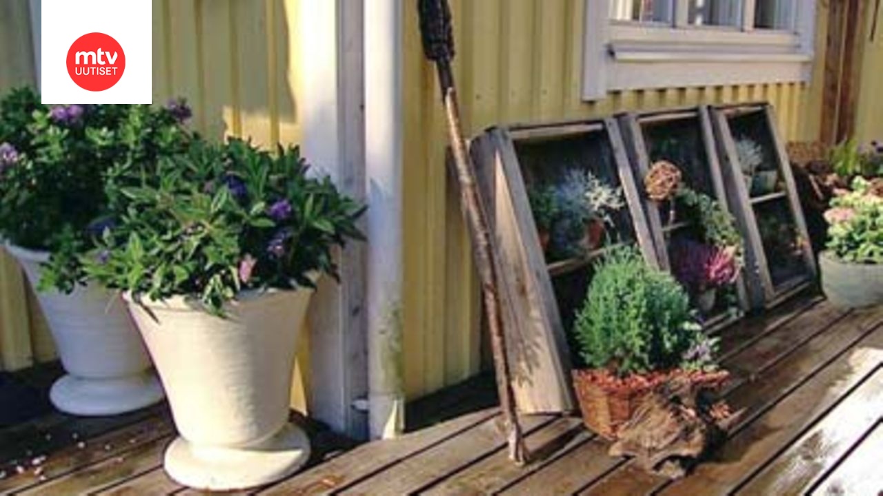 Syyskukat pihalle ja parvekkeelle | MTV Uutiset