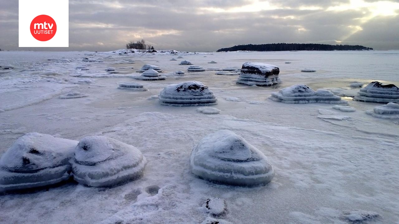 Upeat kuvat: Talvinen luonto yllättää ja ihastuttaa | MTV Uutiset