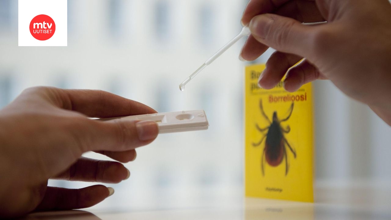 Tutkija: Joka viides punkki kantaa borrelioosia | MTV Uutiset