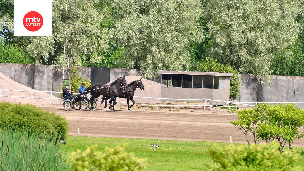 Suomalaisten omistamat ravurit menestyivät Ruotsissa | MTV Uutiset