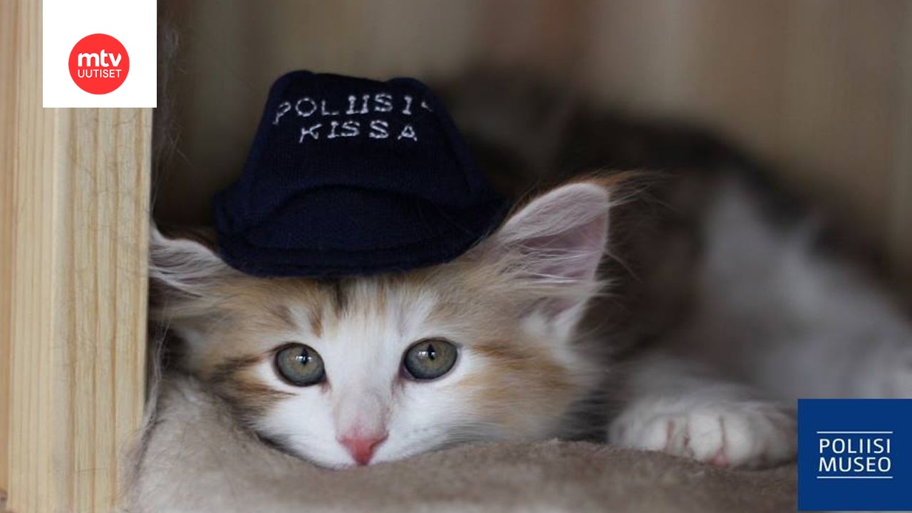 Kuka voi vastustaa tämän poliisisöpöläisen vetoomusta heijastimen ...