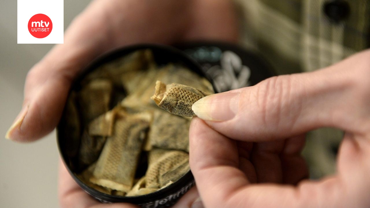 Nuuska ei ole hyvä tupakankorvike – lääkäri kertoo syyn | MTV Uutiset