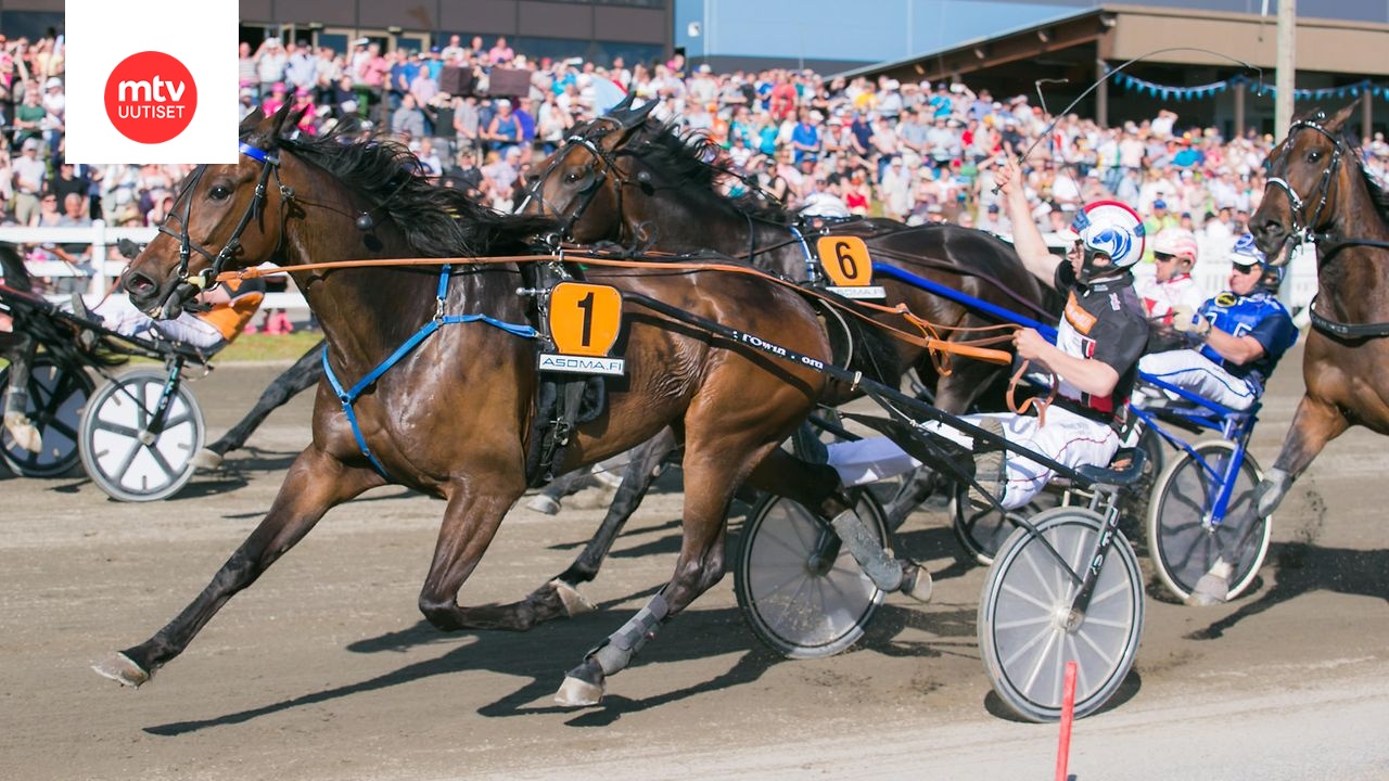 Ravikommentti: Unelmoi ja uskalla | MTV Uutiset