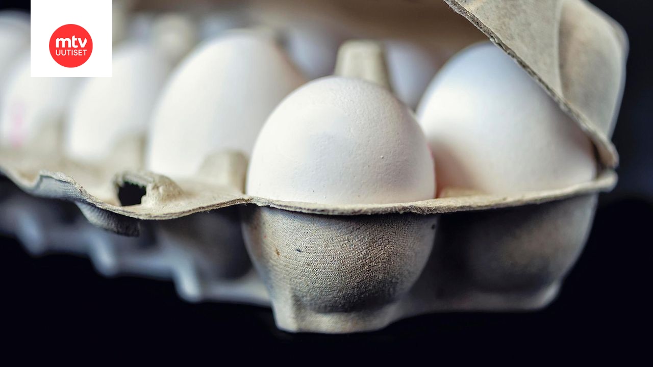 Kuinka kauan kananmunat oikeasti säilyvät? | Makuja | MTV Uutiset