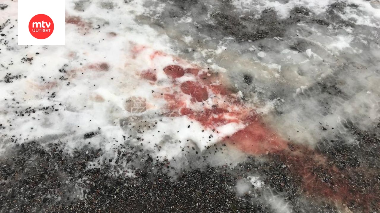Tampereen "verinen mies" vangittiin – Vasaratien murhasta epäilty vain 19-vuotias | MTV Uutiset