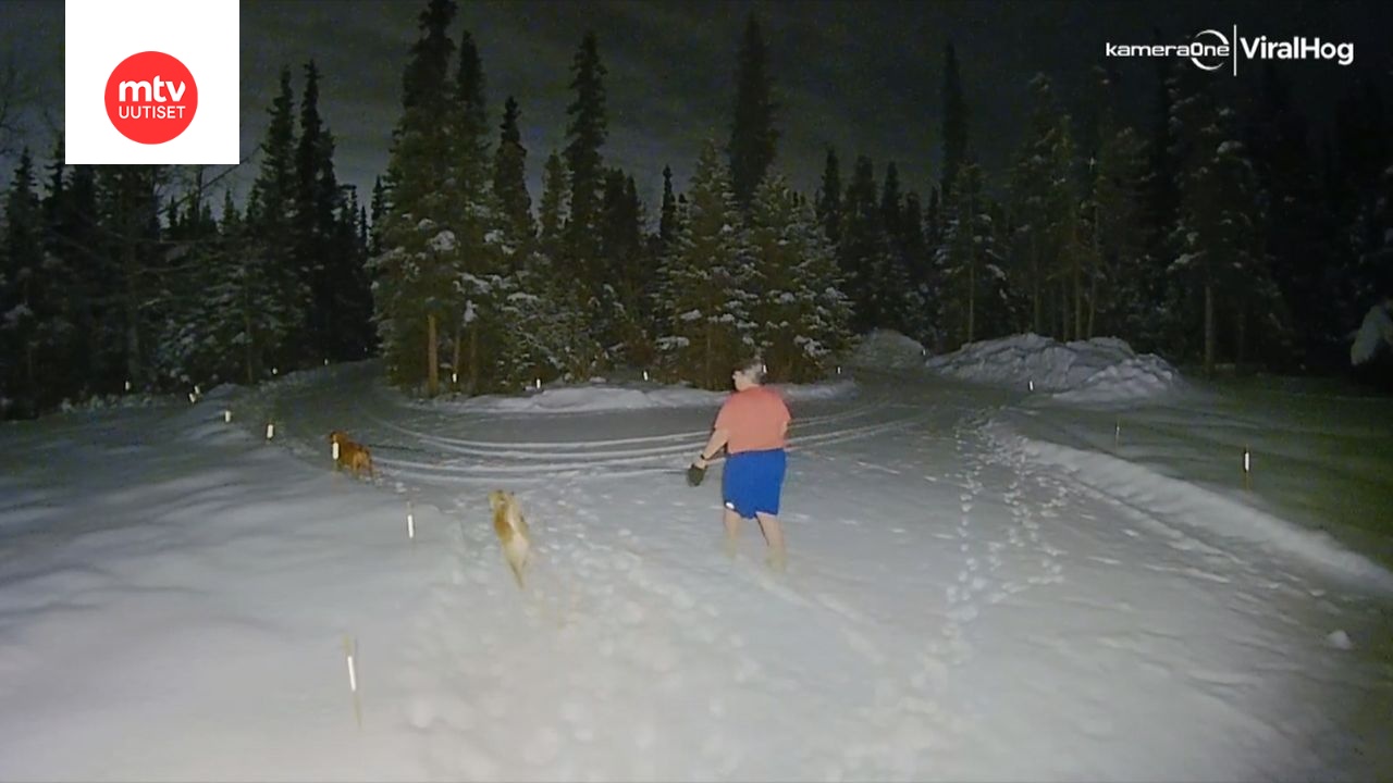Oho, sehän tuli puskista! Kameraan tallentui, kun iso otus hiipi pimeästä metsästä naisen olan ...