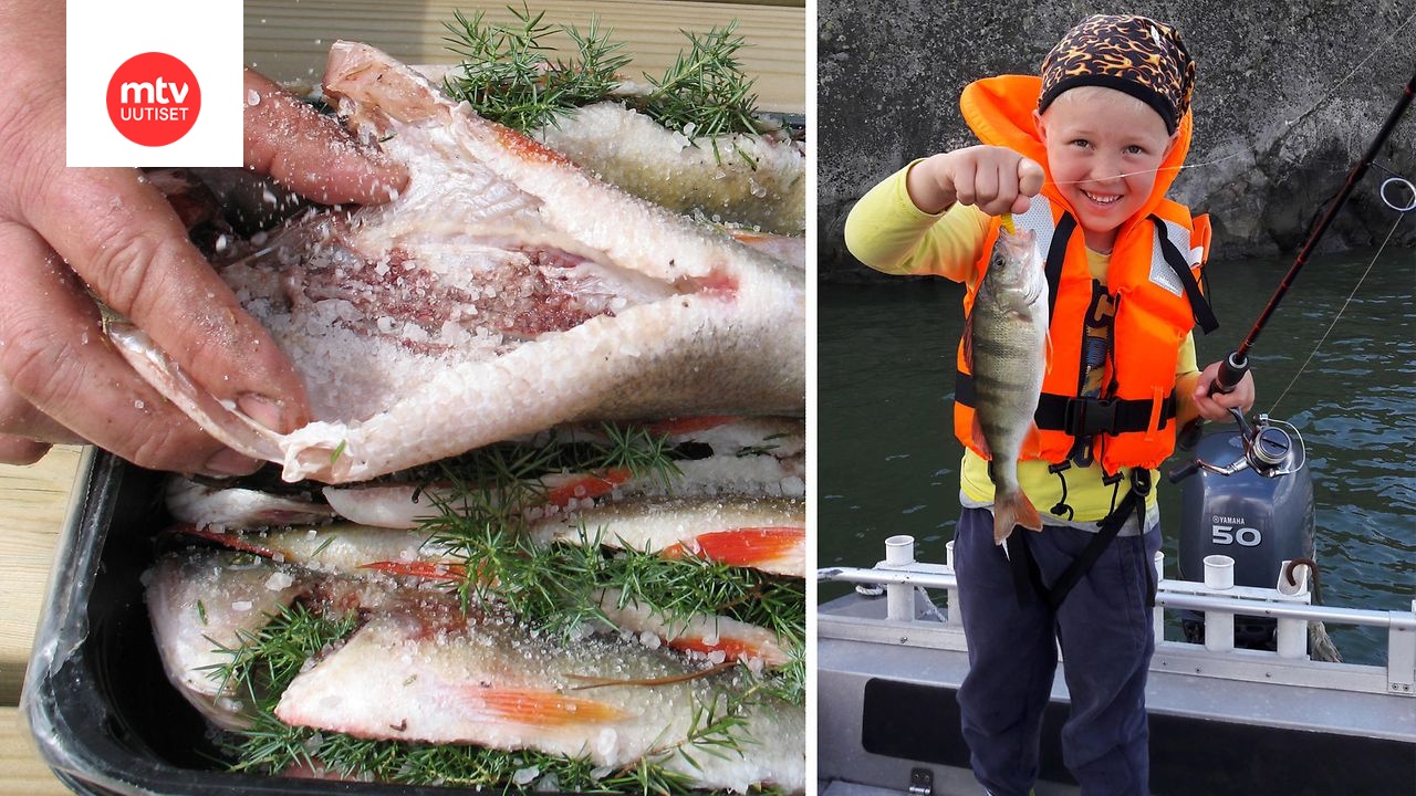 Aiotko kalastaa kesällä? Yksi sääntö, joka sinun täytyy välittömästi ...