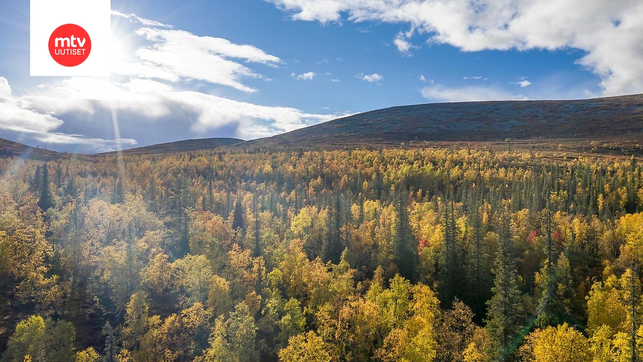 Syksyisiä päiviä luvassa! Katso tästä syyskuun sääennuste! | MTV Uutiset