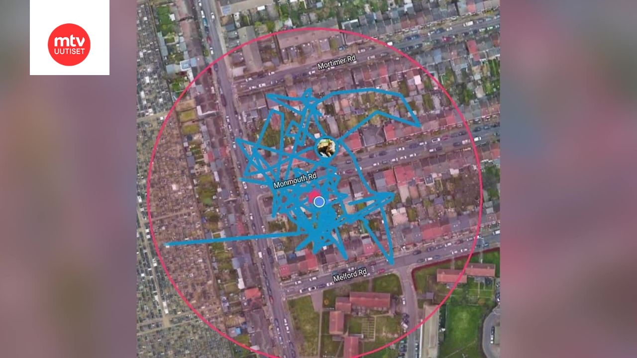 "Sen täytyi olla näkymätön kissa" – Andyn kissa tuli kotiin ...