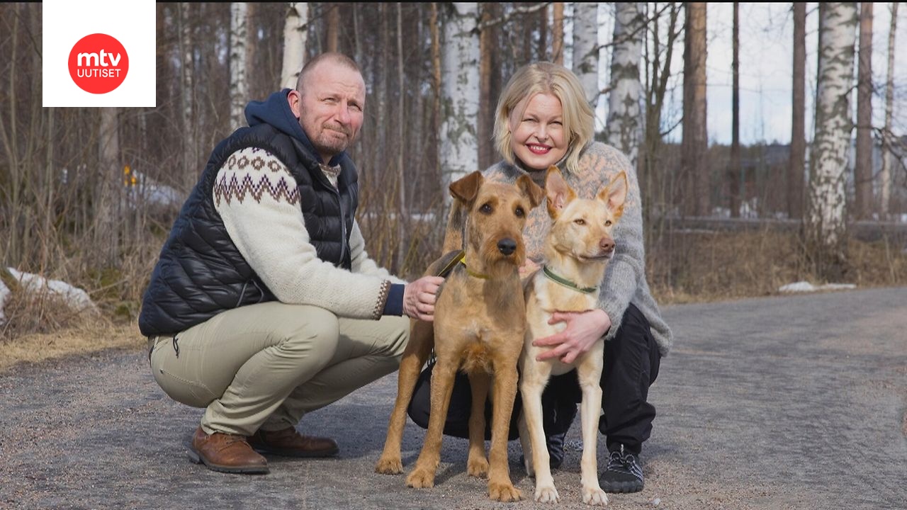Vuoden eläinlääkärit Suvi ja Teppo Heinola Uutisaamun haastattelussa ...