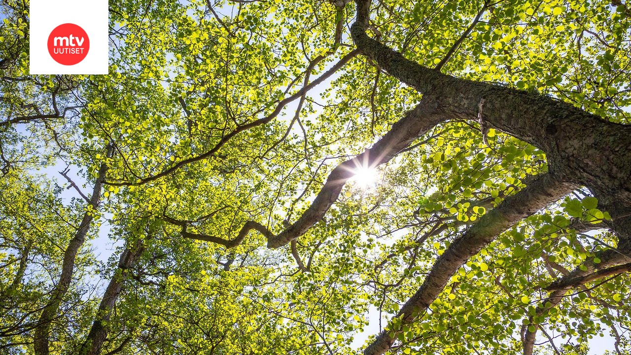 Näin lämpöaalto iskee Suomeen – katso, miten millaista säätä ... Näin lämpöaalto iskee Suomeen – katso, miten millaista säätä ...