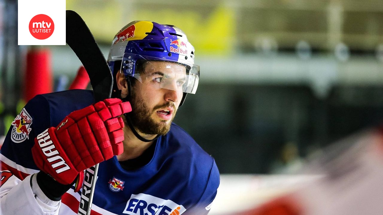 NHLPA:n toimitusjohtaja Don Fehr pyytää anteeksi seksuaalisesti ...