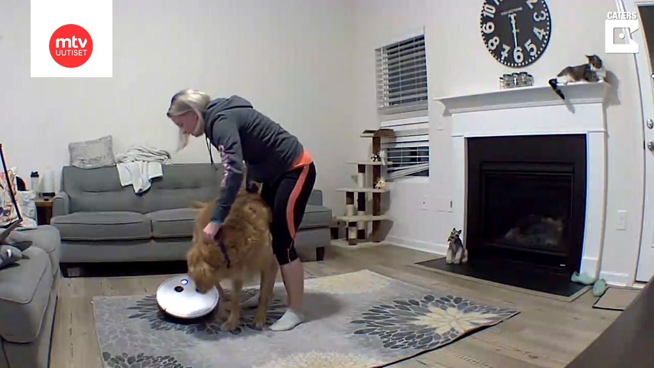 Omistatko robotti-imurin? Jos perheessänne on myös koira, ota tämä ...