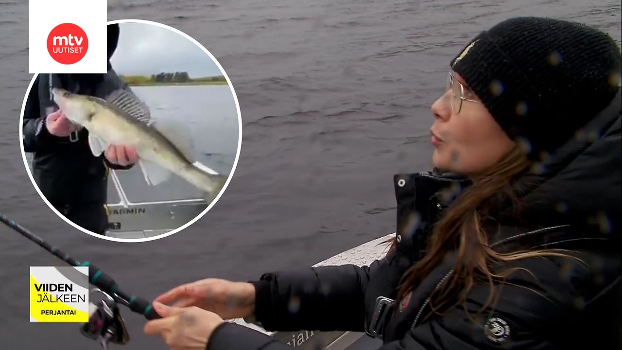 Syksyllä kannattaa kalastaa ruokakaloja ja silakkamarkkinoilta laiska ...
