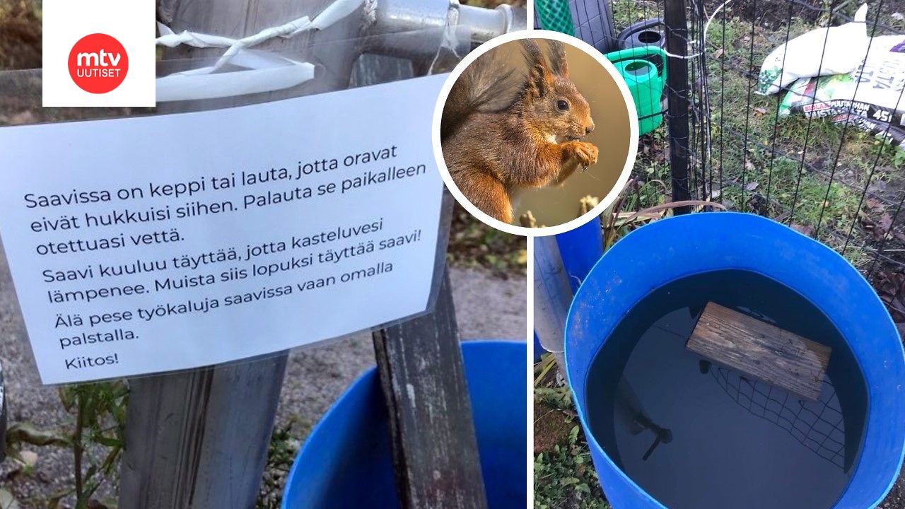 Kiipeilykeppi ja pelastuslautta voivat pelastaa oravan hukkumasta | MTV ...