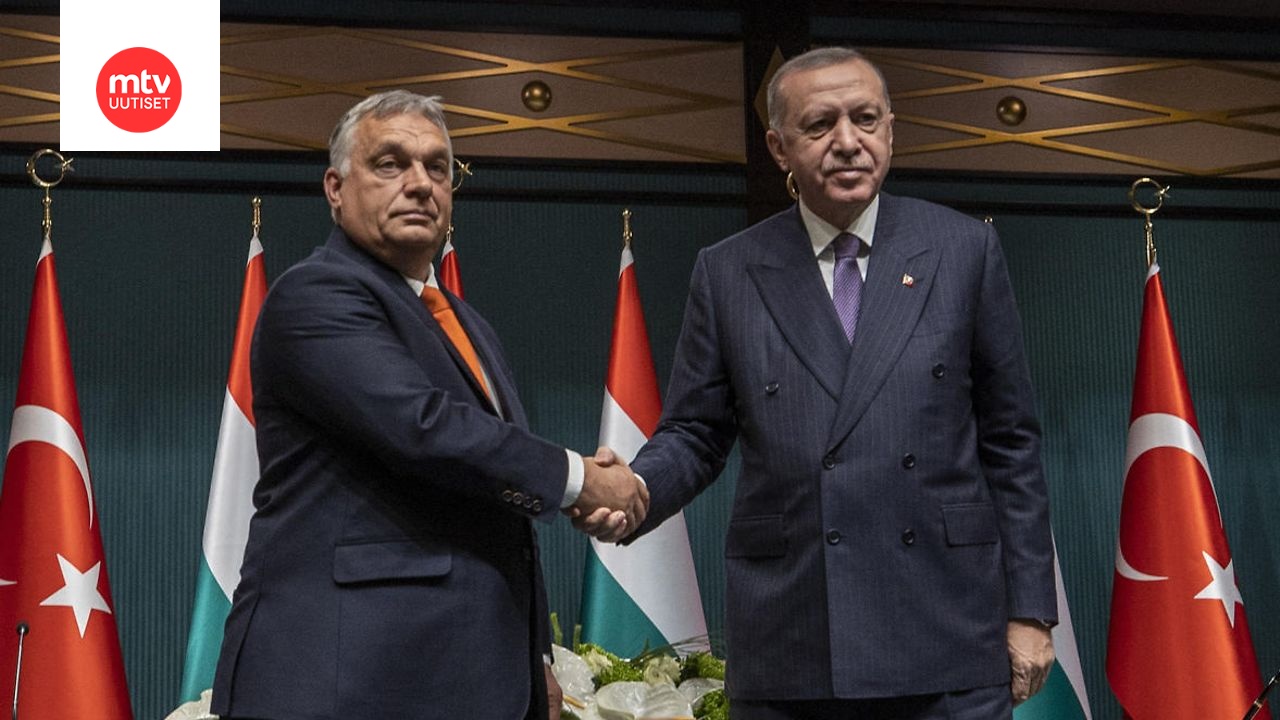 Tutkija: Unkari ja Turkki "vilkuilevat toisiaan" Suomen Nato-jäsenyyden suhteen | MTV Uutiset