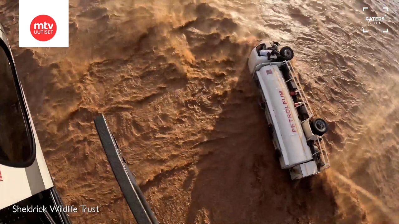 Sheldrick Wildlife Trust pelasti tulvavesien varaan joutuneen miehen ...