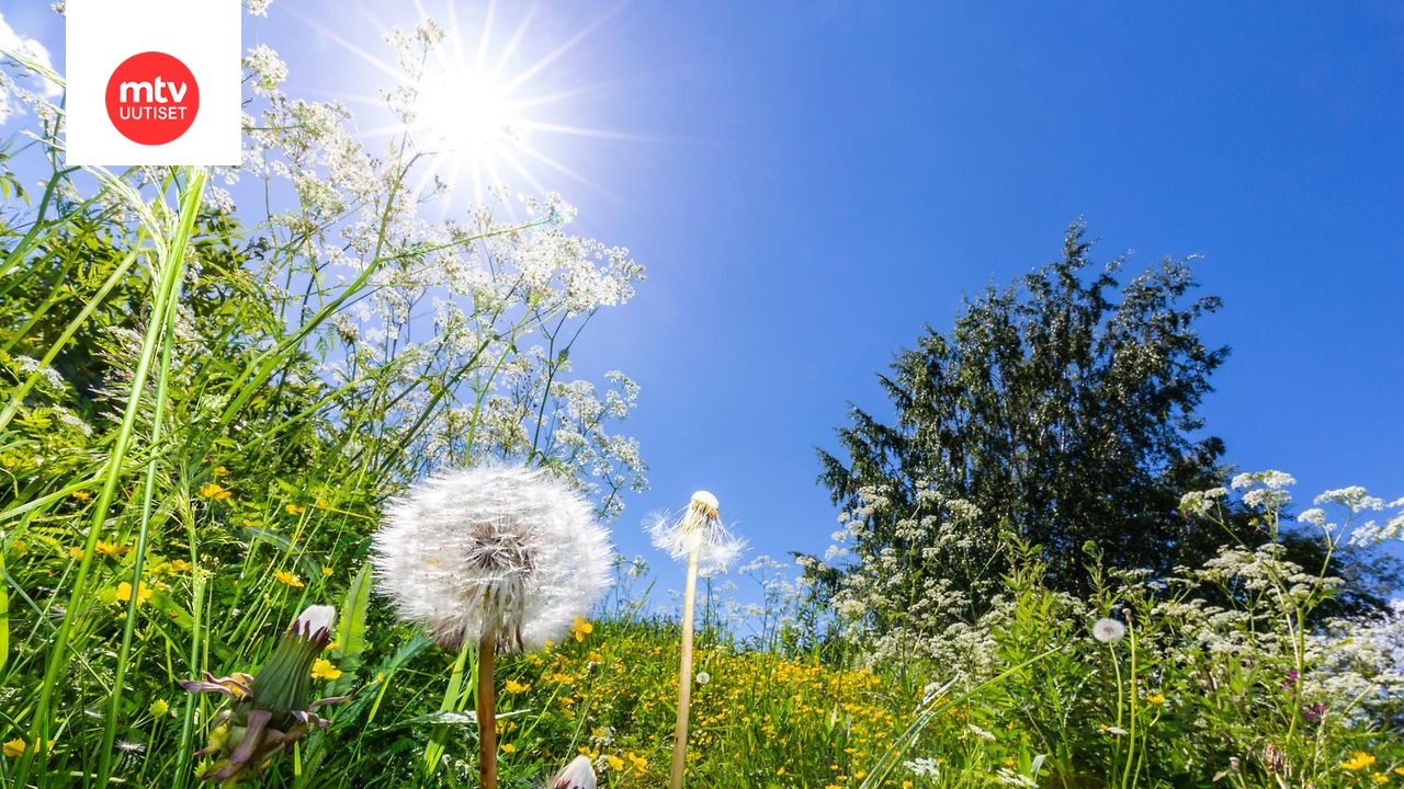 Lämmin sää jatkuu sunnuntaina, Lapissa on ukkoskuuroja | MTV Uutiset