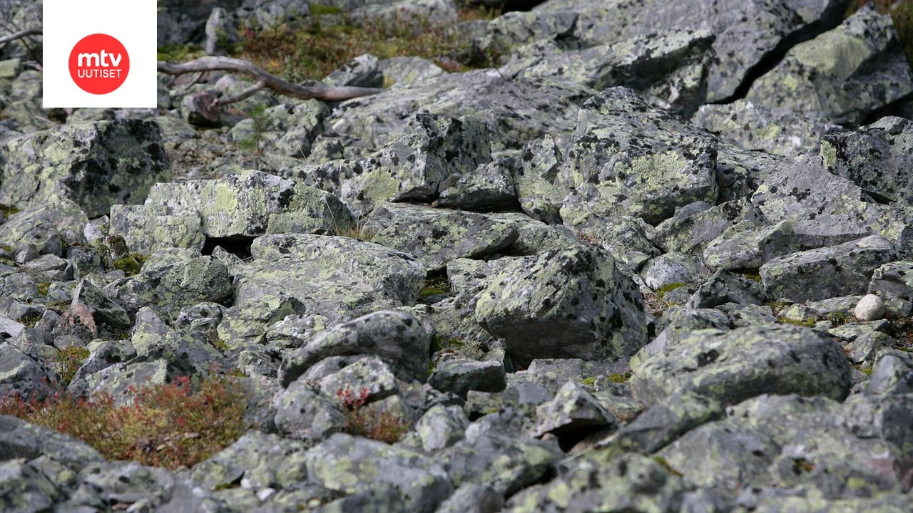 Geologian tutkimuskeskuksen parhaan kansannäytteen palkinto Toholammille | MTV Uutiset