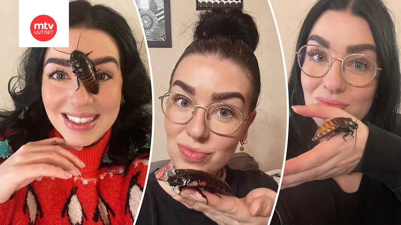 Onko torakka helppohoitoinen lemmikki? | MTV Uutiset