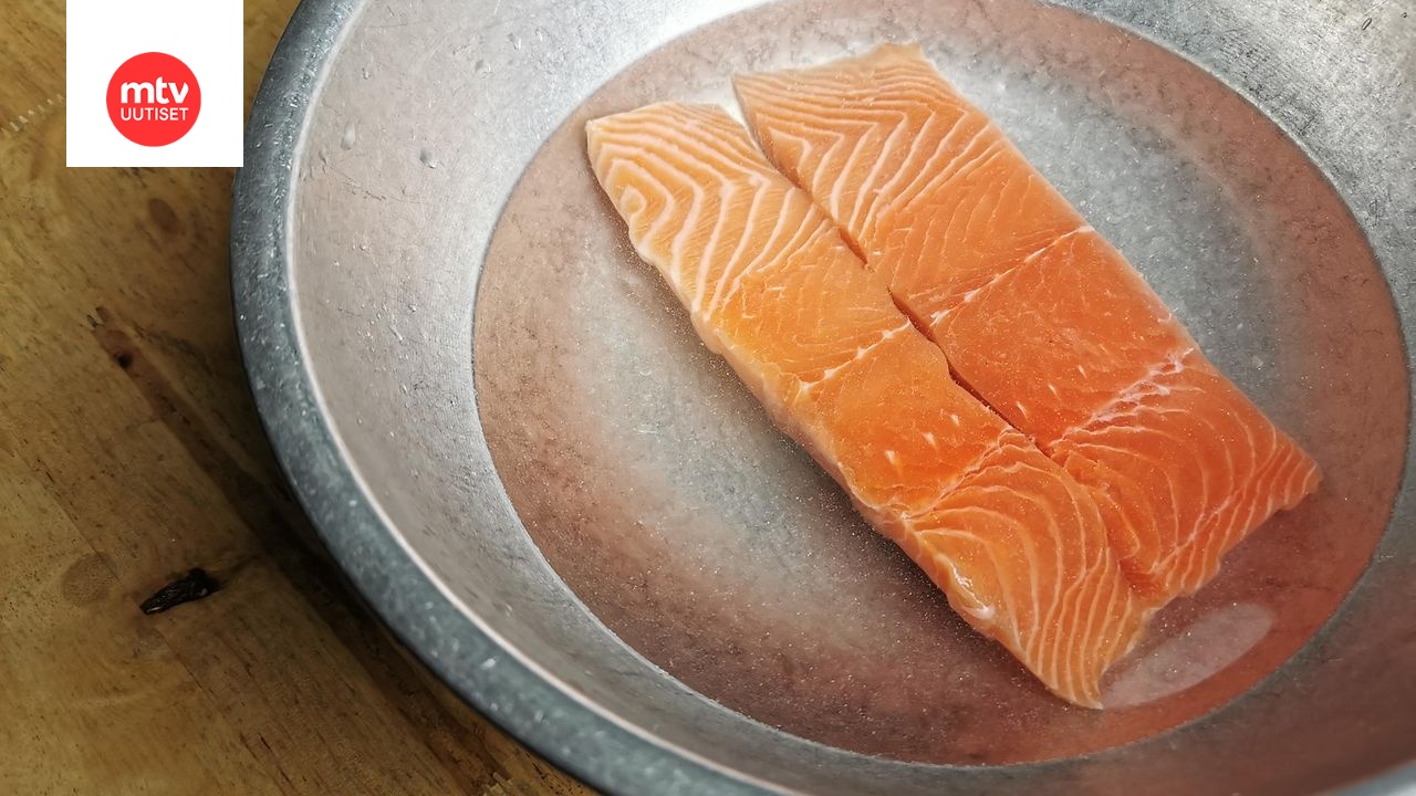 Kalan suolaus suolaliemessä | Makuja | MTV Uutiset
