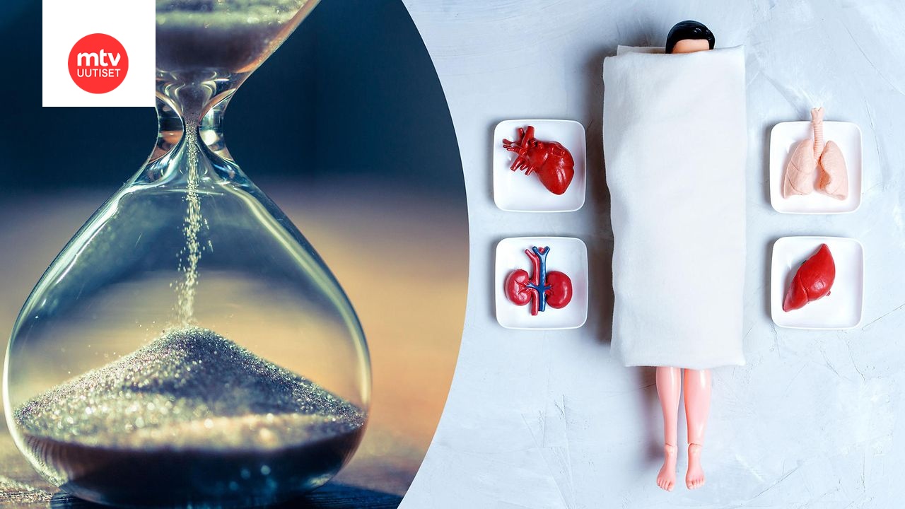 Miten nopeasti elimesi ikääntyvät? | MTV Uutiset