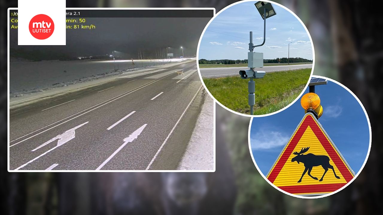 Näin toimii uusi hirvistä varoittava järjestelmä | MTV Uutiset