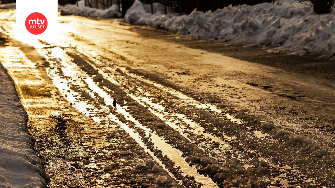 Make avautui kaamoksen päättymisestä: "Kesällä kukkuu enempi" | MTV Uutiset