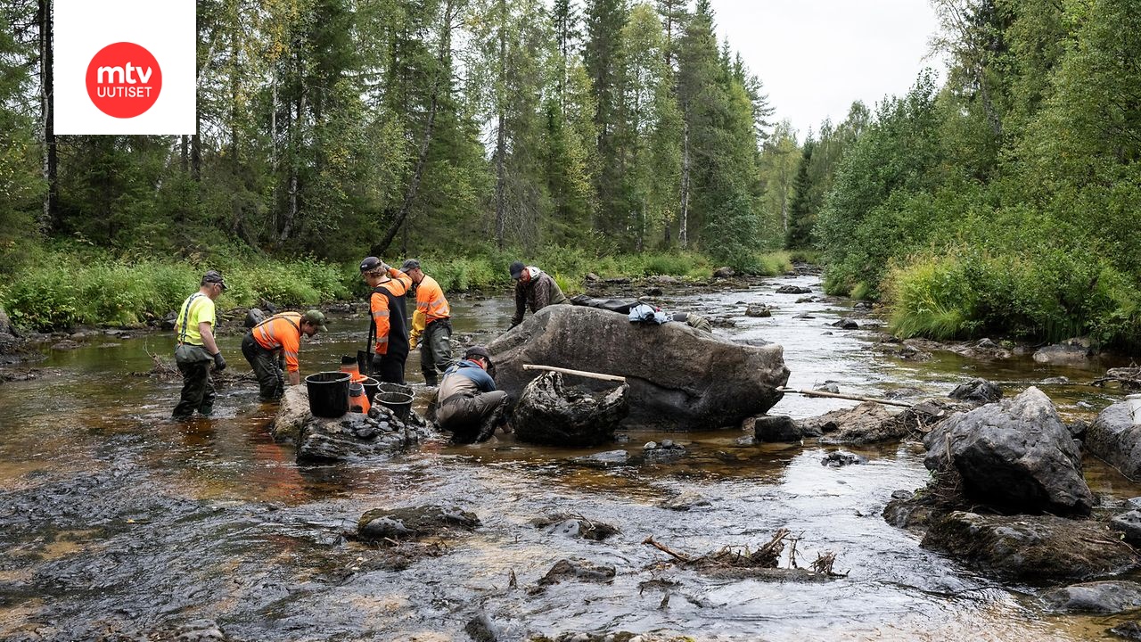 Suomussalmen raakkutuho oli vuoden törkein ympäristörikos | MTV Uutiset
