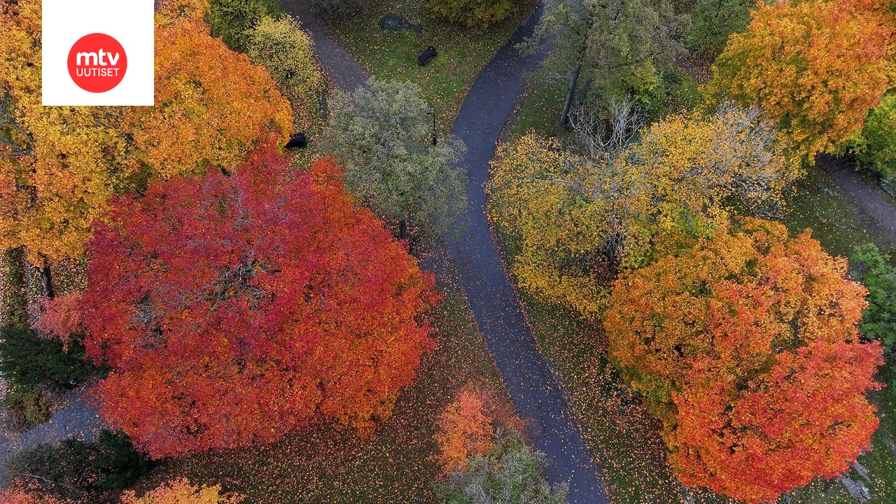 Syksy jatkuu sään puolesta lämpimänä – täällä vietetään "kesää" | MTV ...