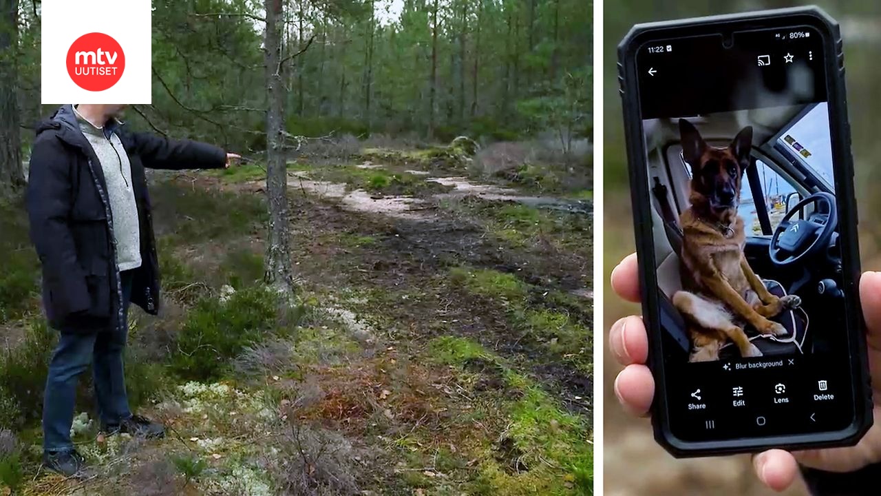 Tähän sotilaspoliisi ampui Pixie-koiran | MTV Uutiset