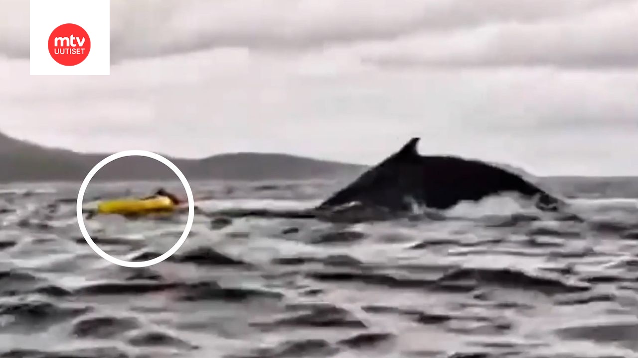 Valas ahmaisi miehen Chilessä | MTV Uutiset