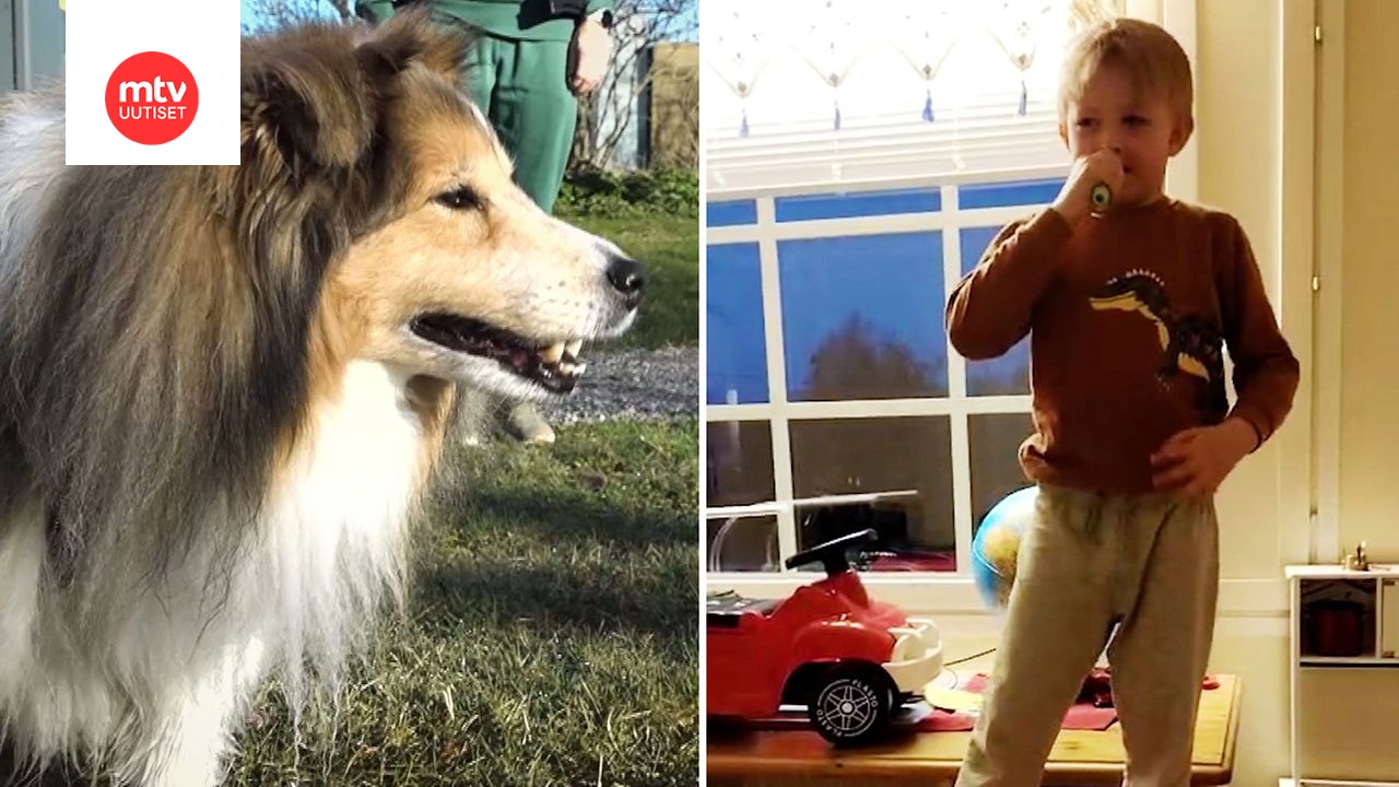 Bara bada bastu lasten suusta ja muita ilon aiheita | MTV Uutiset