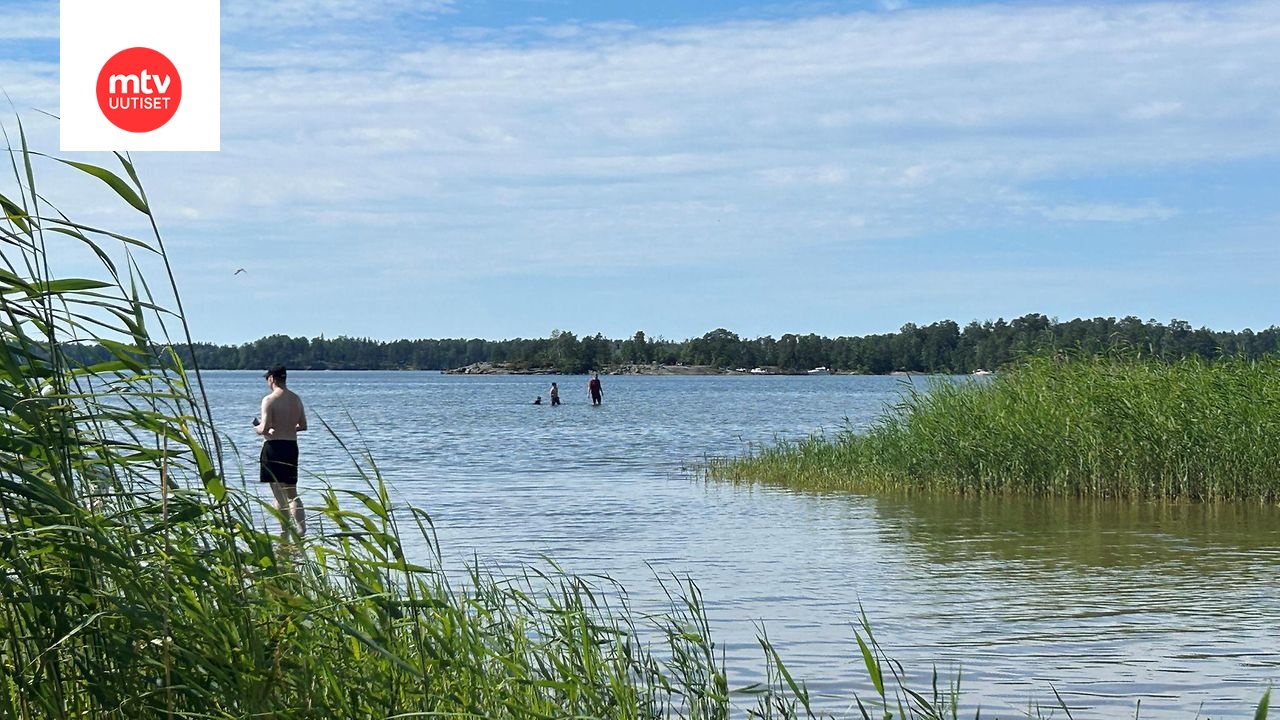 Suomen hiekkarannat ja rantaniityt ovat vaarassa kadota | MTV Uutiset
