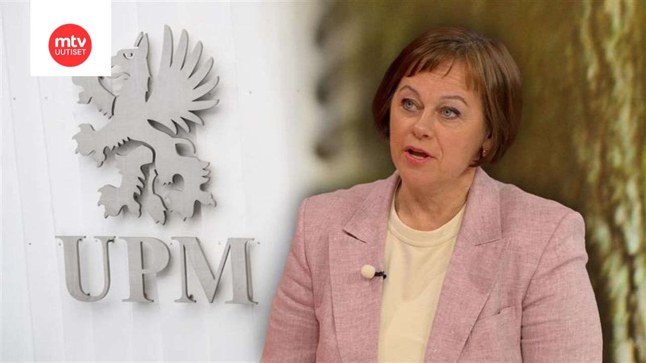 Suomi on kallis maa metsäbisnekselle | MTV Uutiset